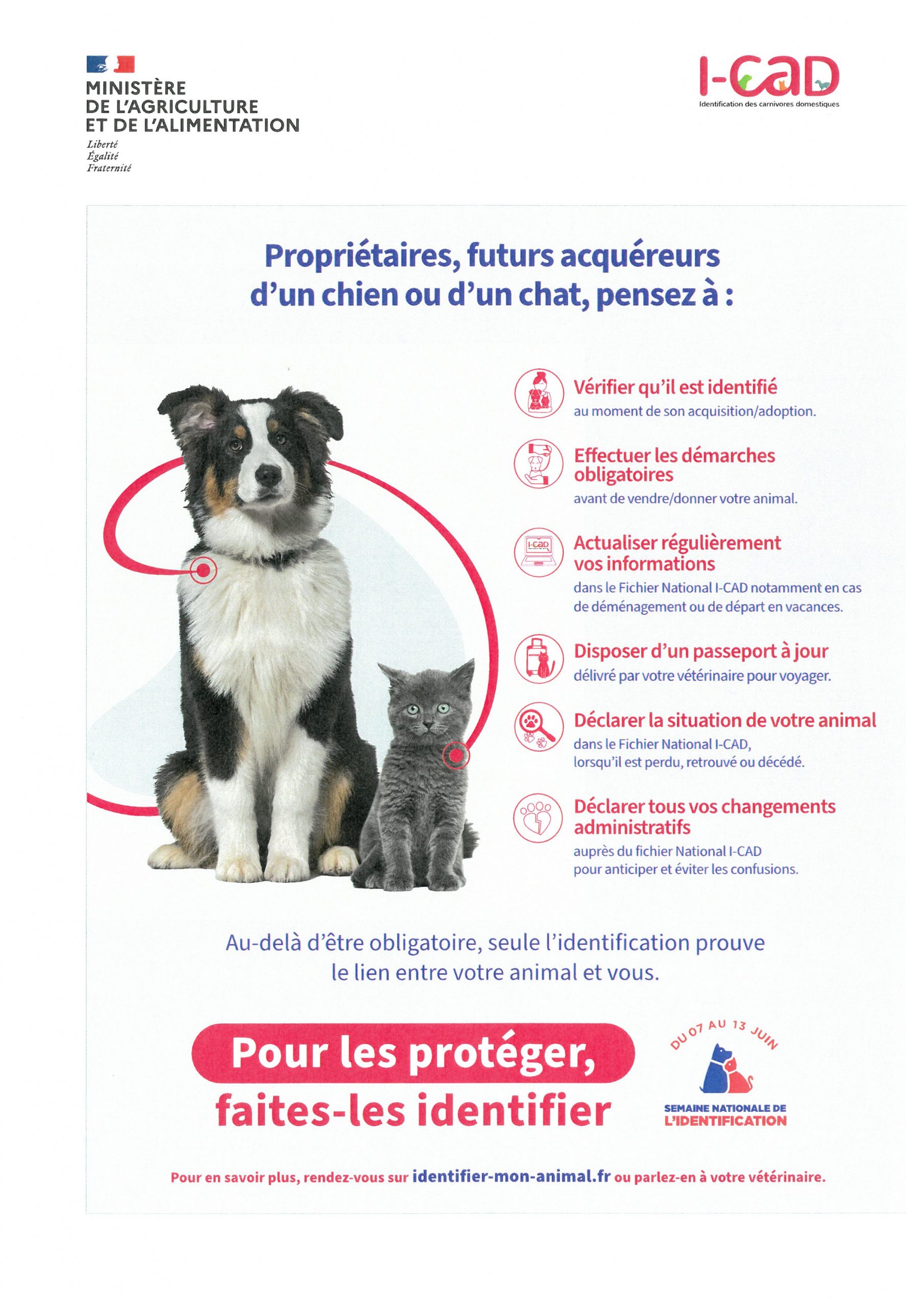 Identification des Chiens et des Chats - L'I-CAD vous informe - Ville ...